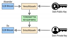 Bitcoin Wallet Test: ️ Die 7 besten Bitcoin Wallets im Vergleich