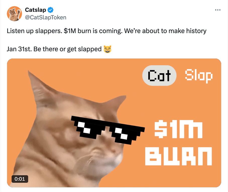 Catslap News: 1 Million US-Dollar Burn treibt SLAP Kurs um 42 % nach ...