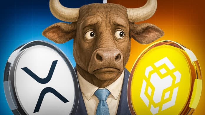 Prognose: Ripple XRP oder BNB (BNB) – wer wird höher steigen?